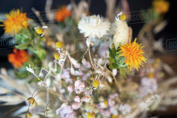 Decorative bunch of dry wild flowers on display in home decoration shop ...