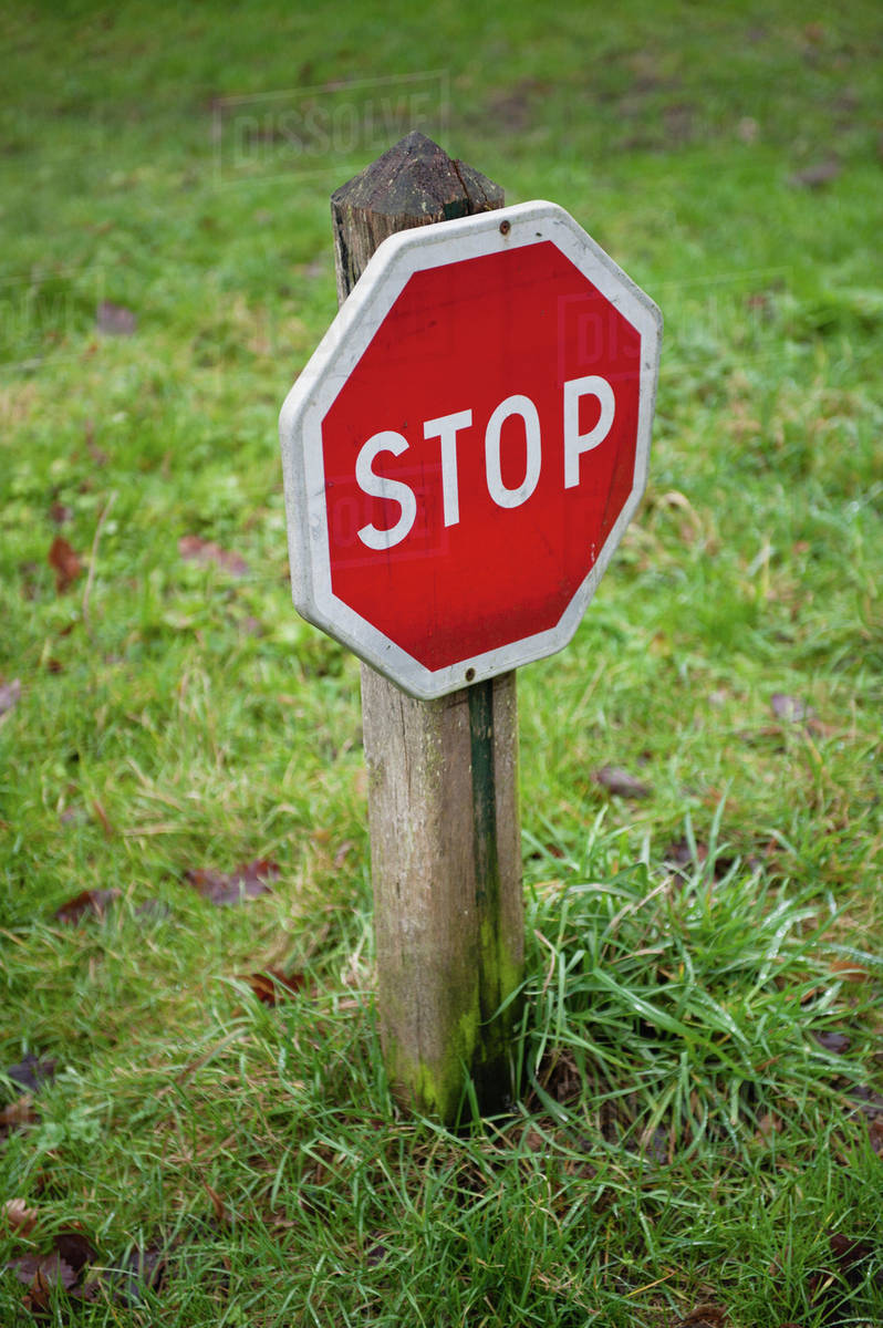 Stop sign in grass - Stock Photo - Dissolve