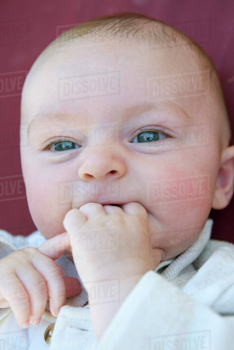 Baby biting hand, high angle view - Stock Photo - Dissolve