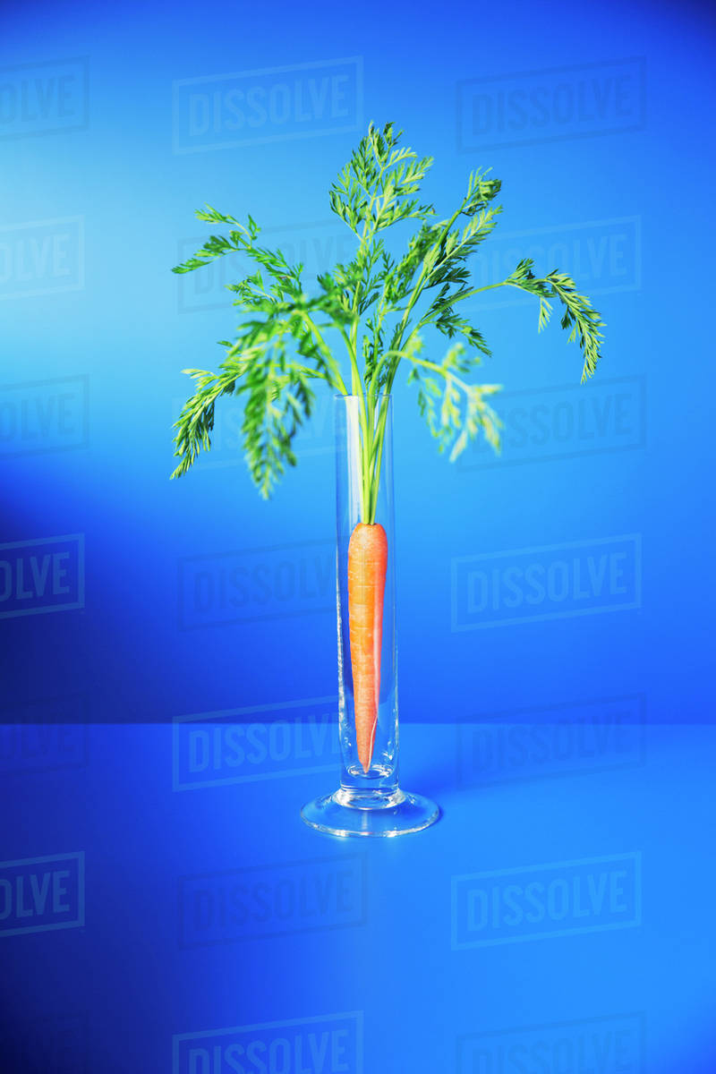 Carrot standing upright in glass on blue counter - Stock Photo - Dissolve