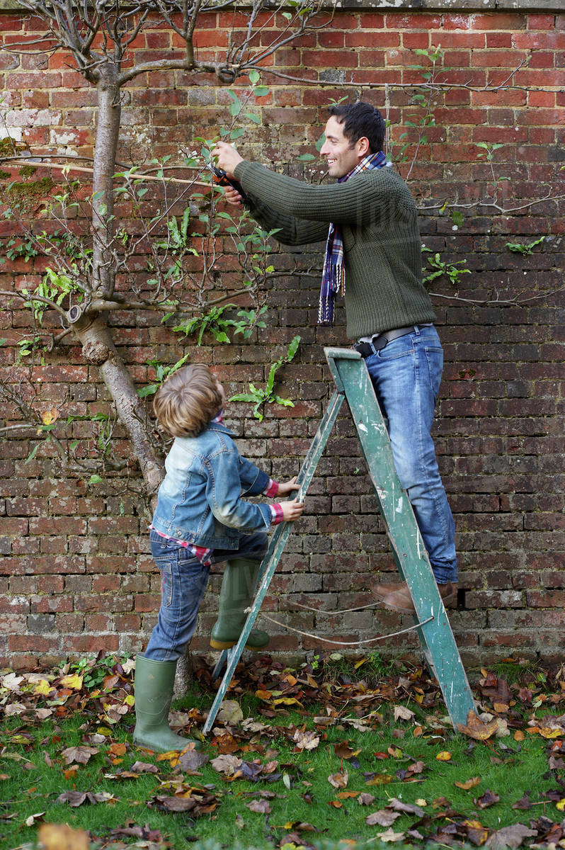 Father and son working in garden - Stock Photo - Dissolve