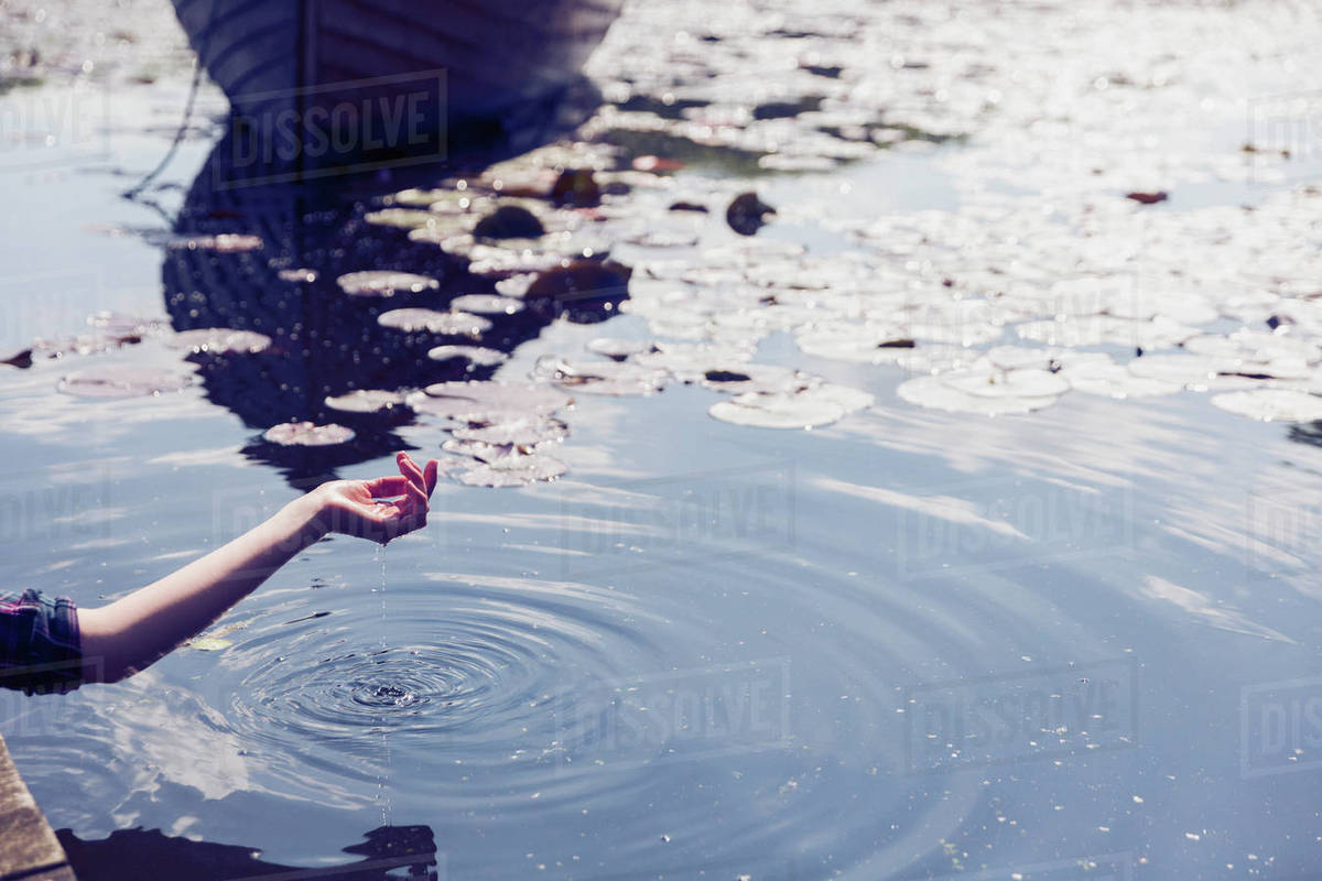 Water dripping from hand of woman at sunny lake with lily pads ...