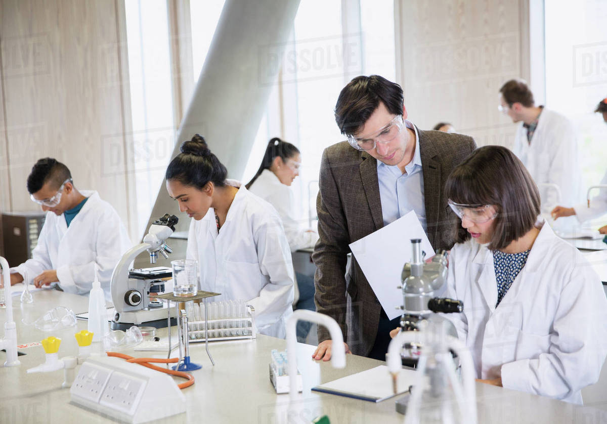 Science professor helping college student conducting scientific ...