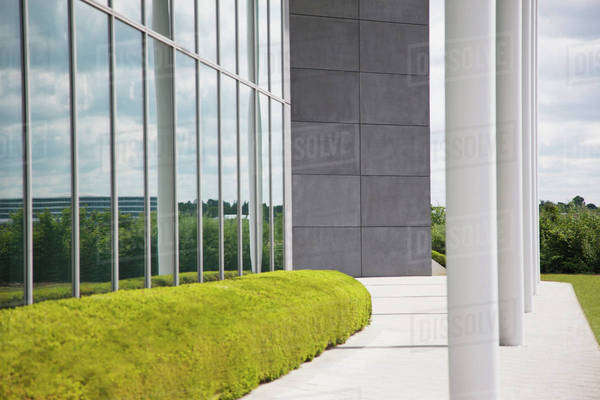 Manicured hedges and glass windows - Royalty-free Stock Photo | Dissolve