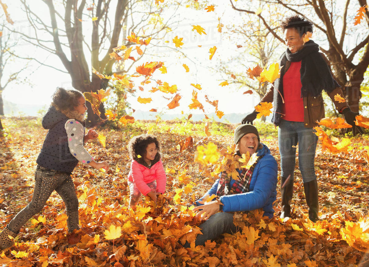 Young family playing in autumn leaves in sunny park - Royalty-free ...