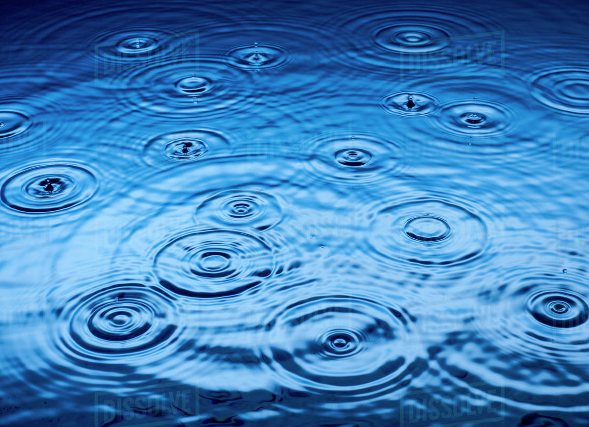 Ripples of raindrops in puddle - Royalty-free Stock Photo | Dissolve