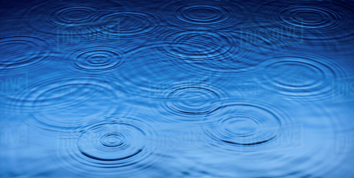 Ripples of raindrops in puddle - Royalty-free Stock Photo | Dissolve