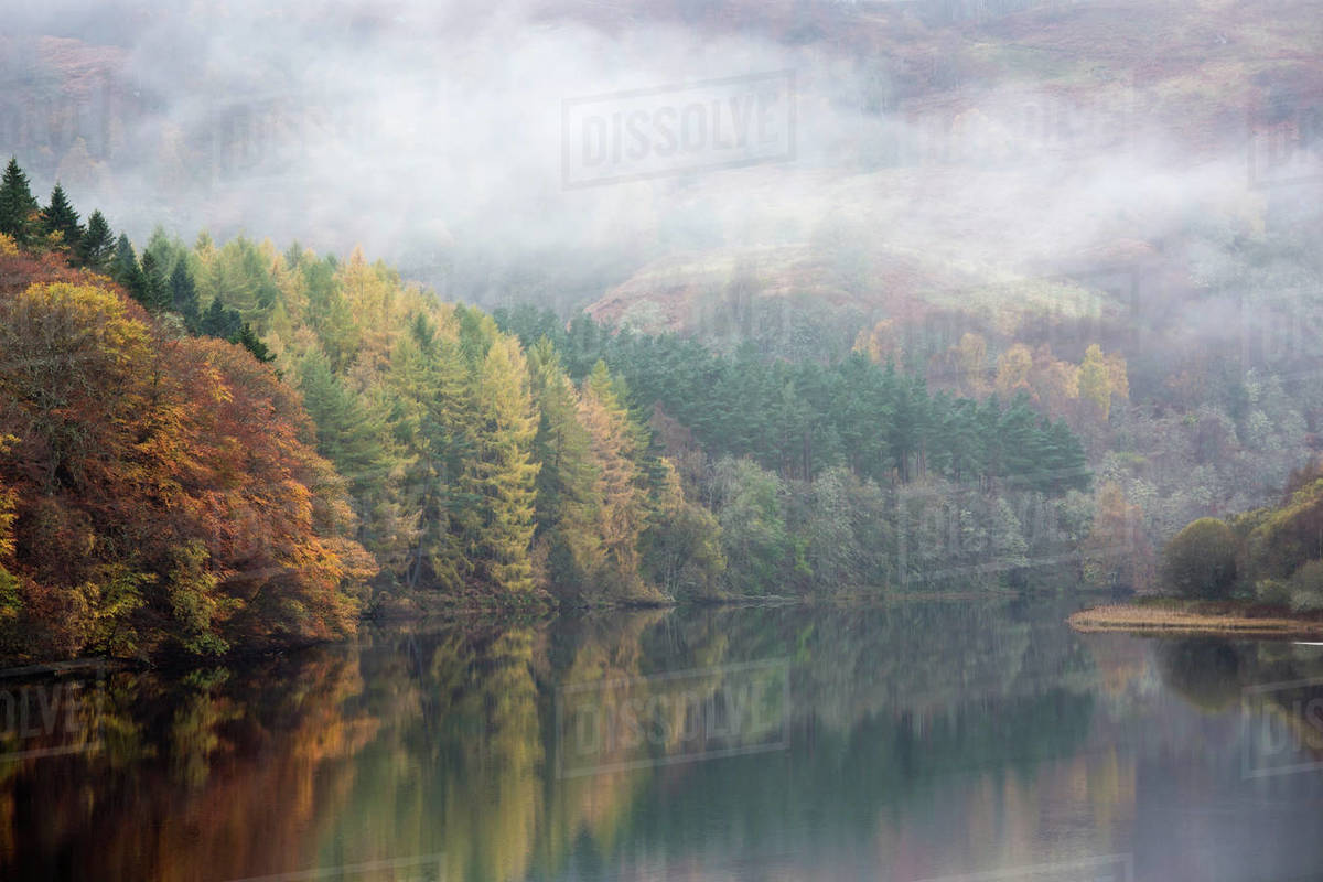 Mysterious fog over tranquil autumn trees and lake, Loch Faskally ...