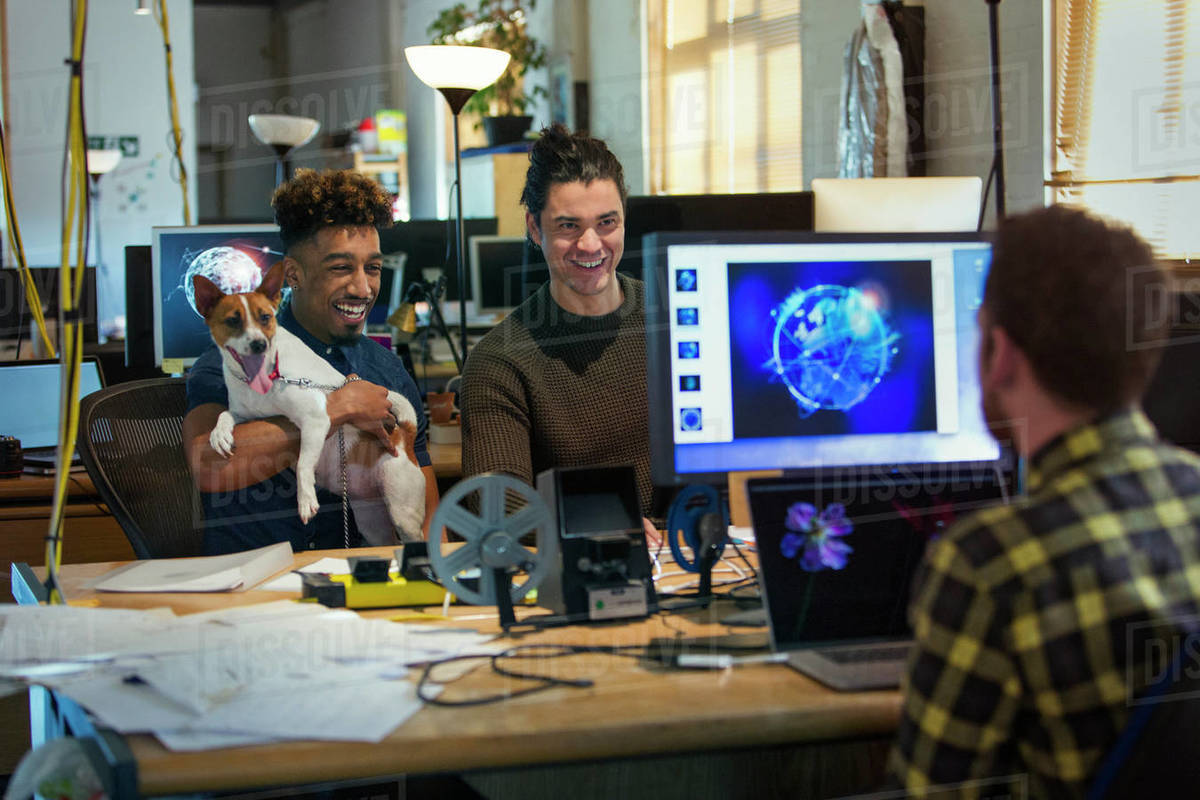 Creative business people with dog in open plan office - Royalty-free ...