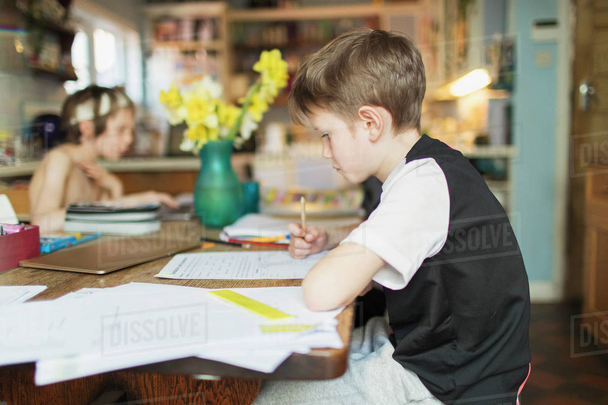 Focused boy homeschooling at dining table - Royalty-free Stock Photo ...
