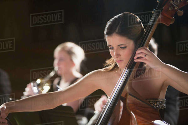 Double bassist performing - Royalty-free Stock Photo | Dissolve