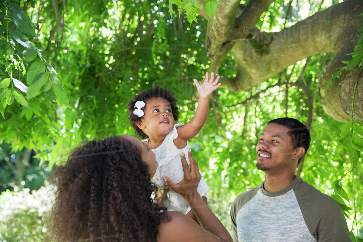 Parents lifting toddler daughter under summer tree - Stock Photo - Dissolve