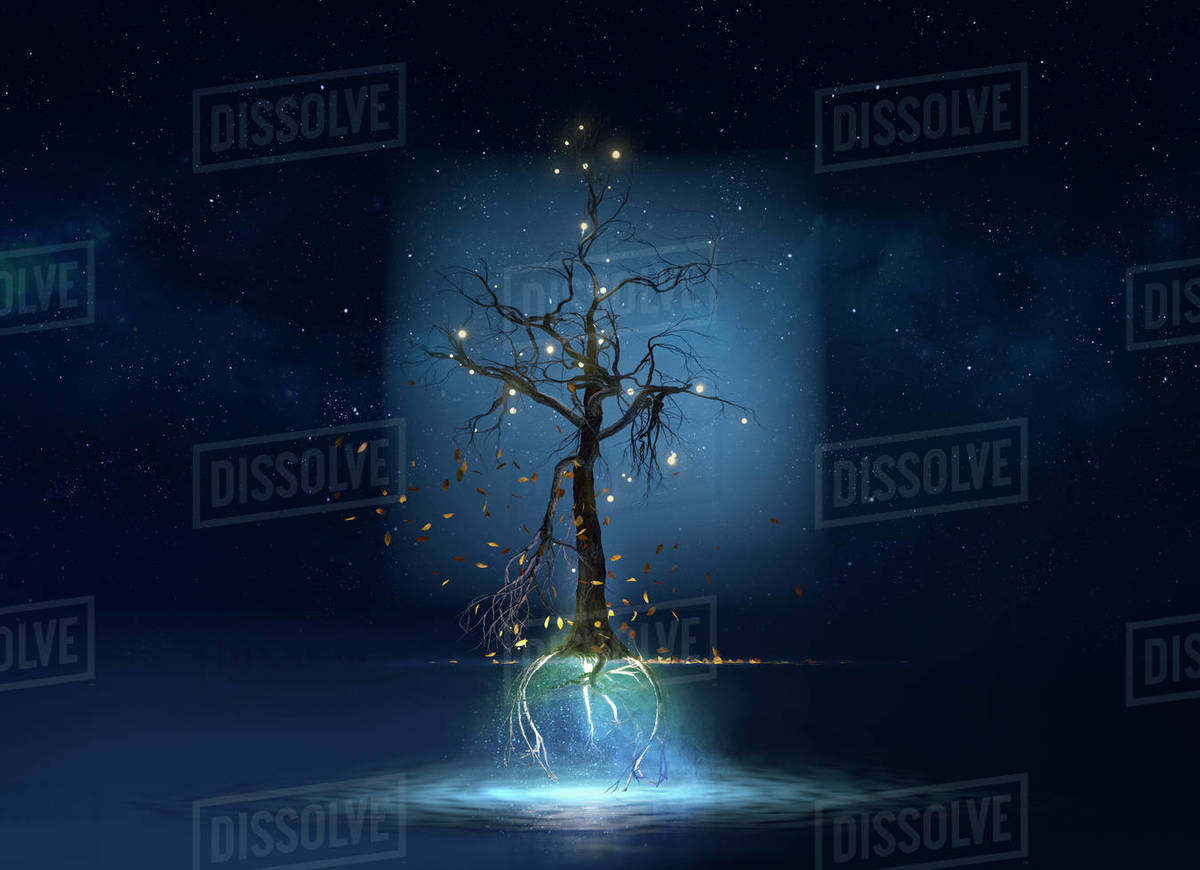 Mysterious illuminated floating tree above water - Stock Photo - Dissolve