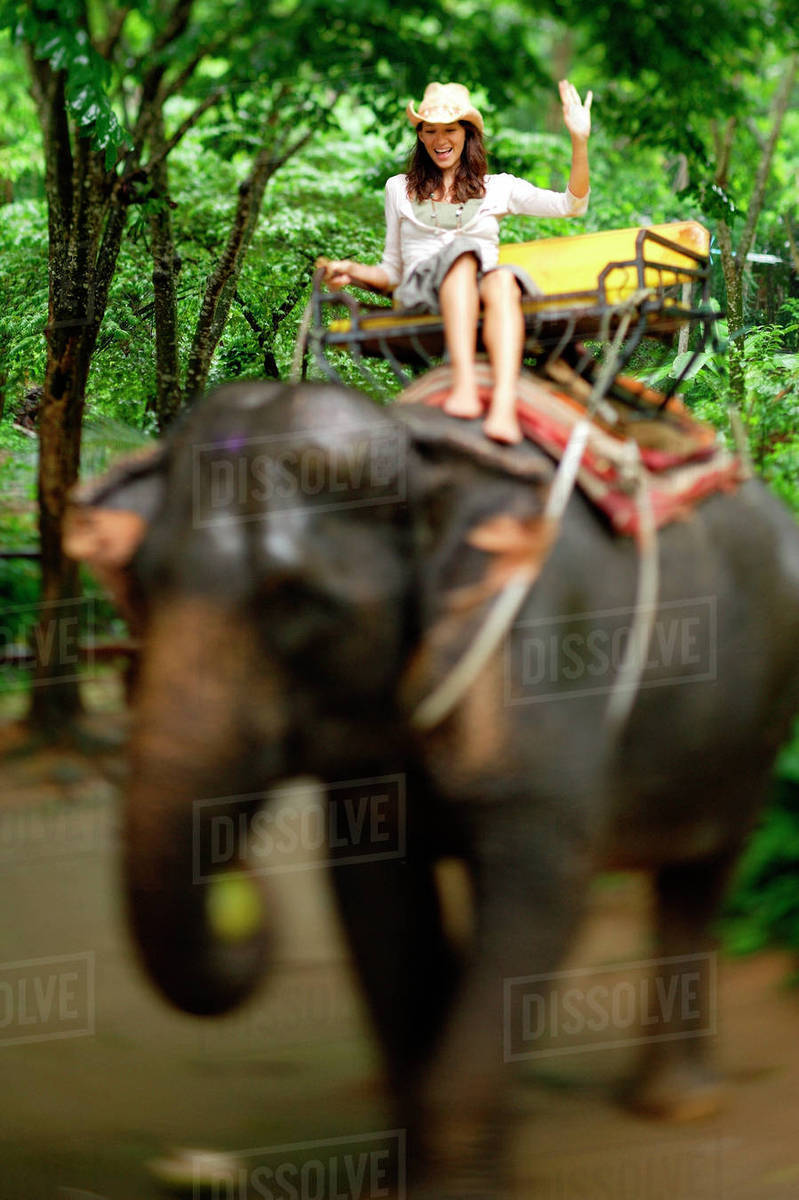Young woman riding elephant, waving, Phuket, Thailand - Royalty-free ...