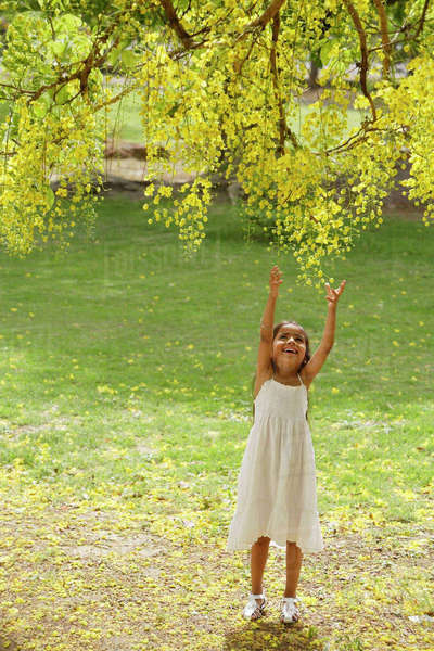 Little girl reaching up to tree - Stock Photo - Dissolve