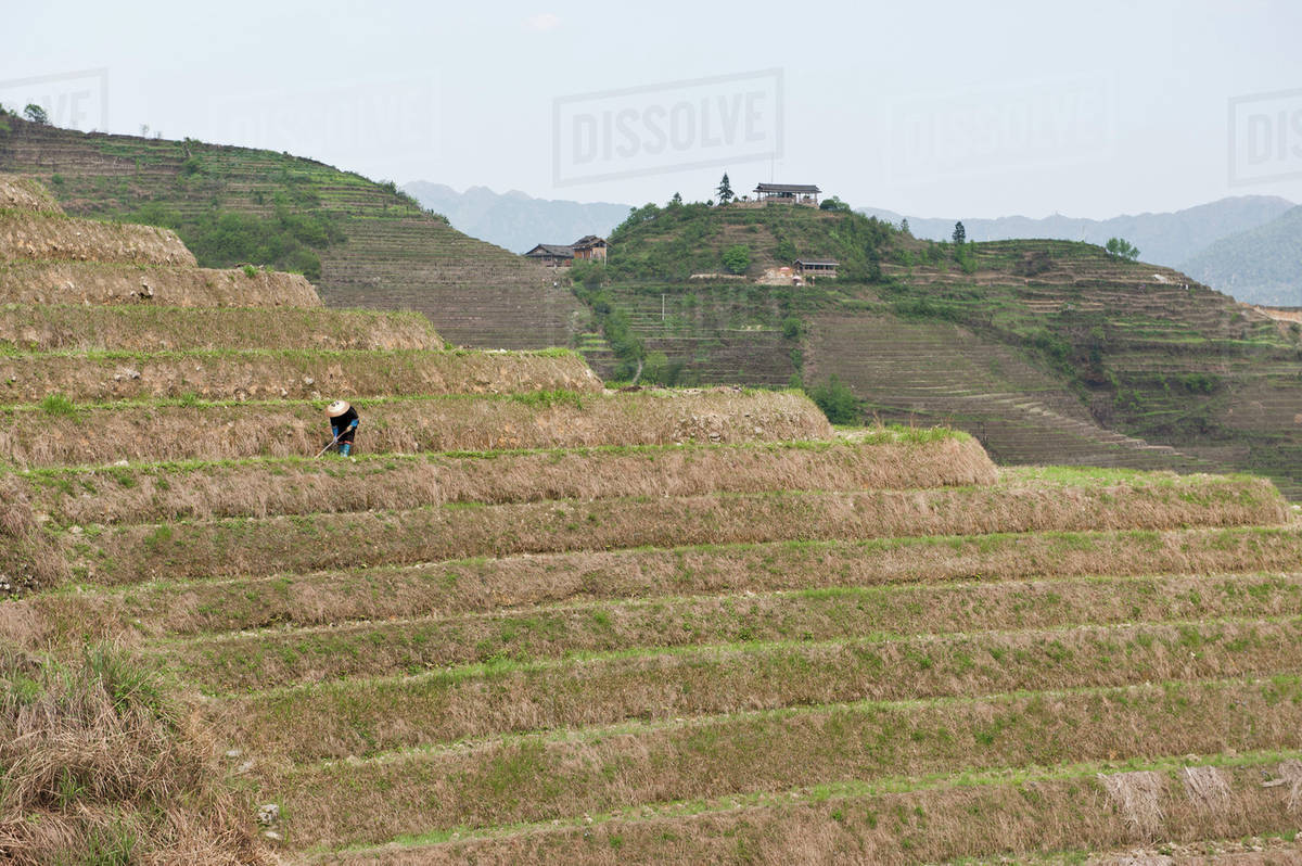 Worker at Ping'an Rice Terraces in China - Stock Photo - Dissolve