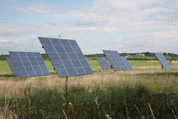 Solar panels in a field - Royalty-free Stock Photo | Dissolve