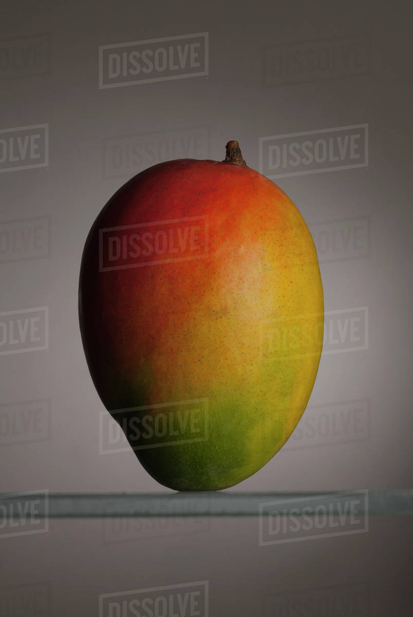 A mango standing up on a glass shelf - Royalty-free Stock Photo | Dissolve
