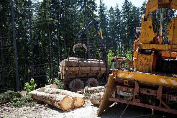 Logs loading in commercial land vehicle - Royalty-free Stock Photo ...