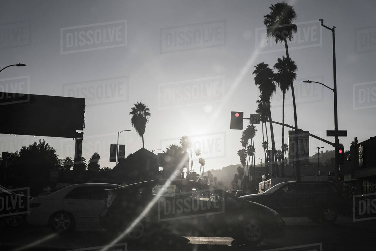 View of city street on sunny day - Royalty-free Stock Photo | Dissolve