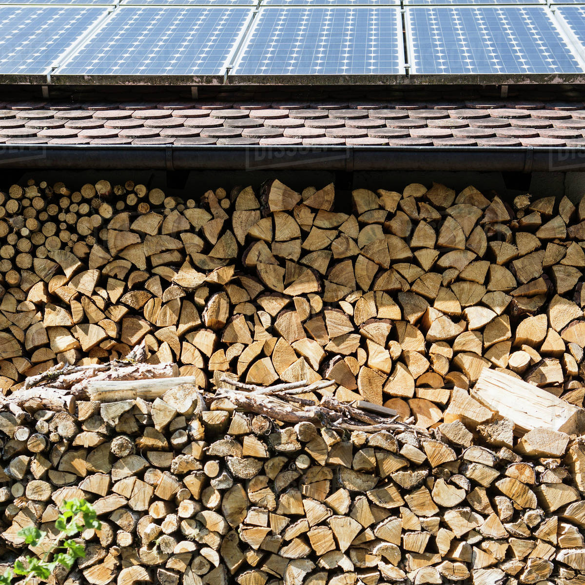 Solar panels on stack of logs - Royalty-free Stock Photo | Dissolve