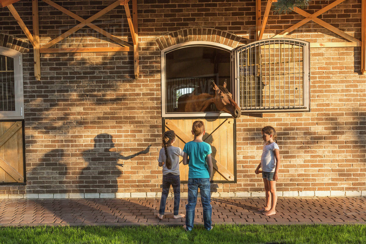 Children watching horse in stable - Stock Photo - Dissolve
