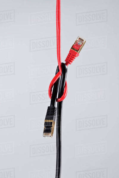 Two network cables tied in a knot - Royalty-free Stock Photo | Dissolve