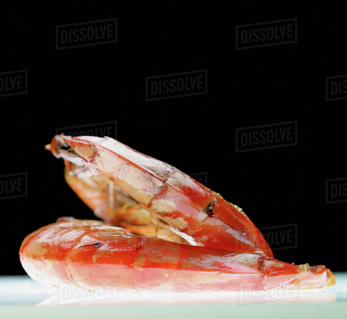 Two prawns, studio shot, close-up - Royalty-free Stock Photo | Dissolve