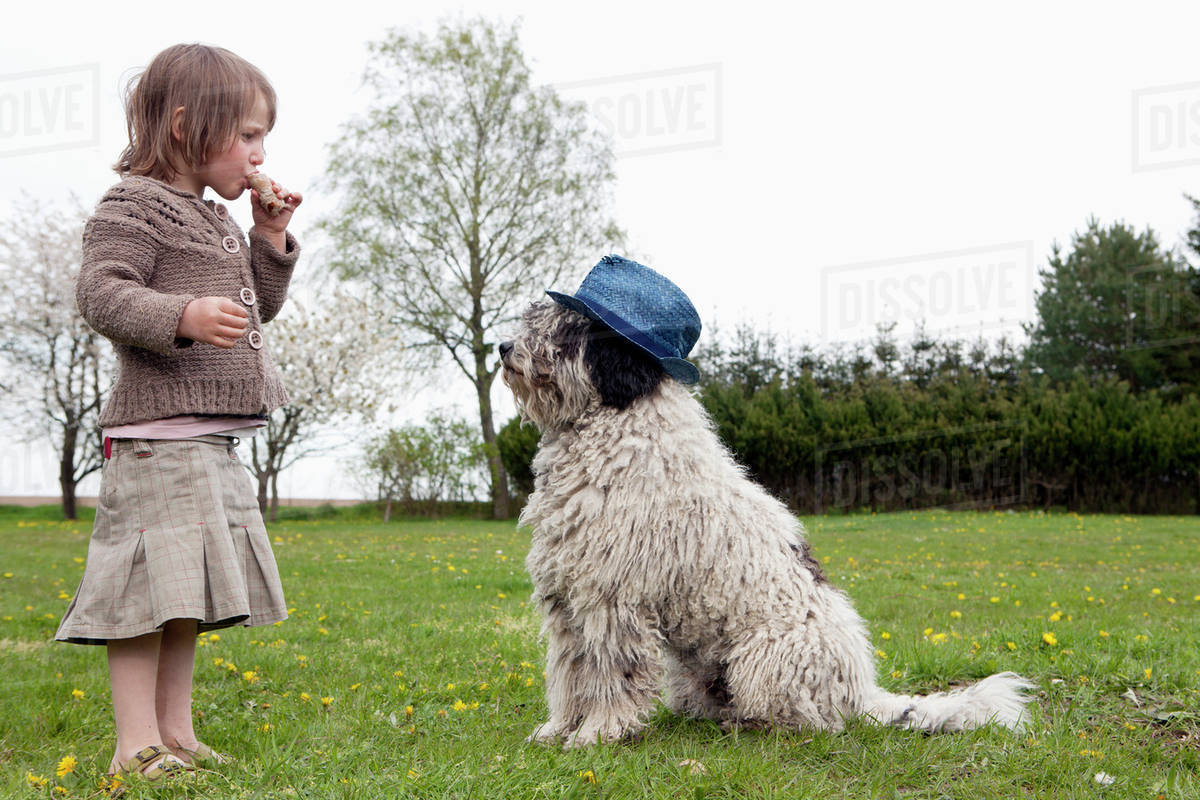 Full length side view of girl eating in front of dog on field - Stock ...