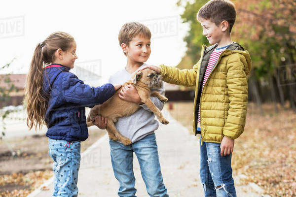 Children playing with dog outdoors - Stock Photo - Dissolve