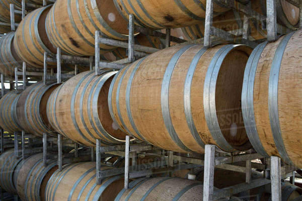 Wine barrels in shelves at cellar - Royalty-free Stock Photo | Dissolve