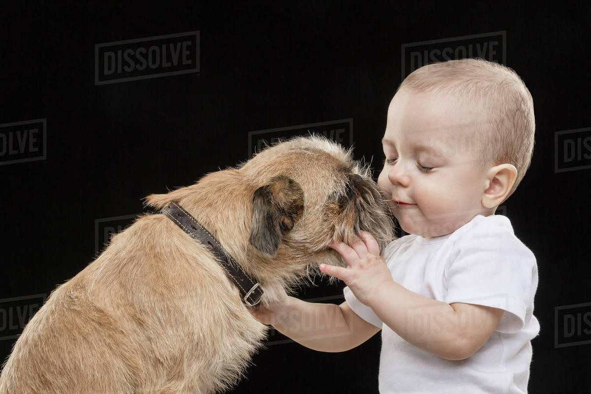 Cute boy playing dog against black background - Stock Photo - Dissolve