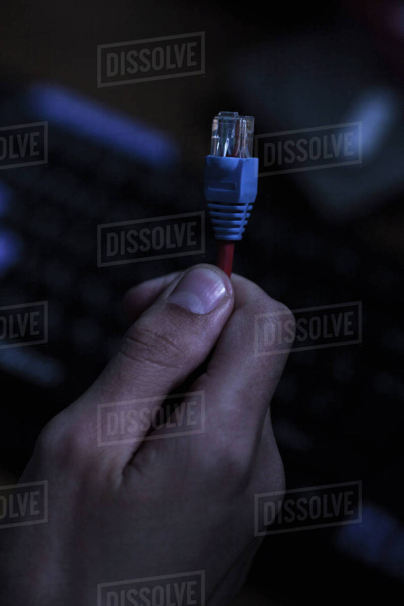 Cropped image of hand holding computer cable - Stock Photo - Dissolve
