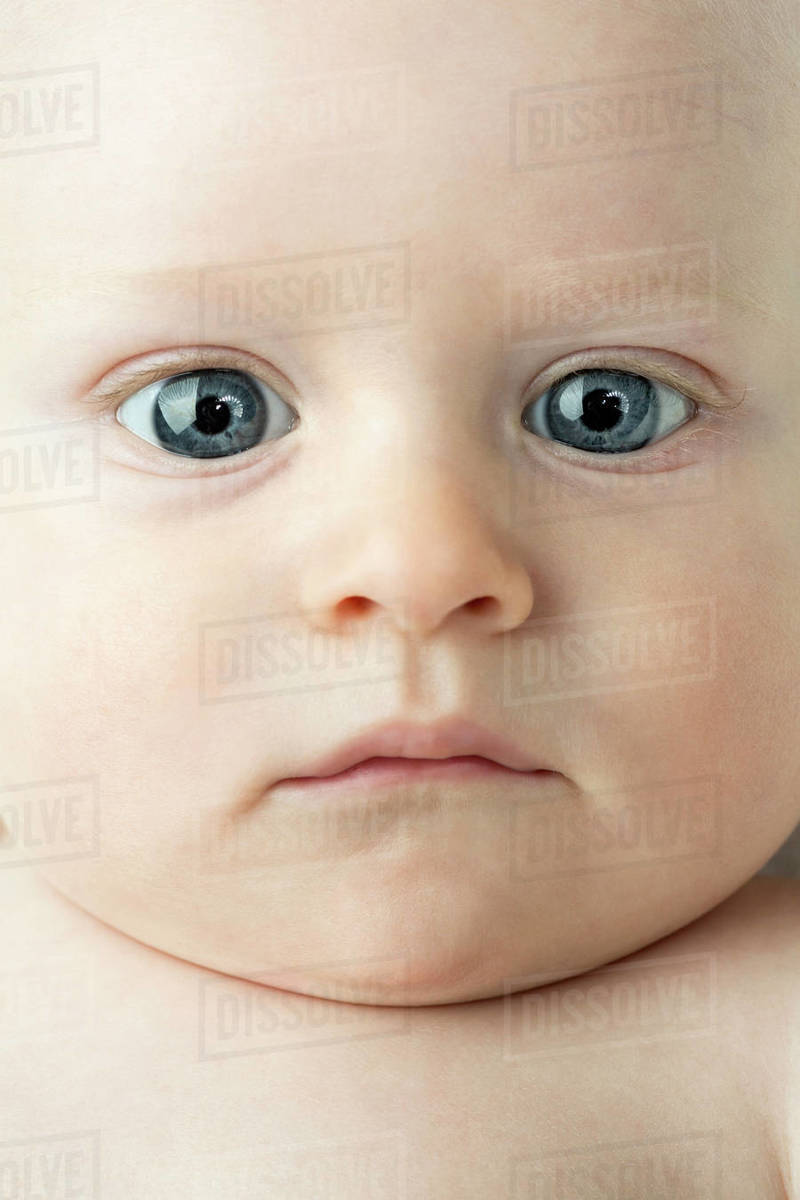 Full frame portrait of cute baby boy - Stock Photo - Dissolve