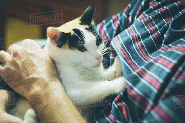 Man holding cat - Royalty-free Stock Photo | Dissolve