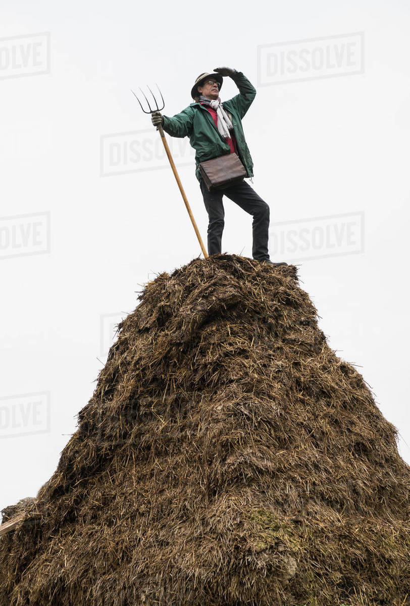 Farmer with pitchfork standing on top of hay heap - Royalty-free Stock ...