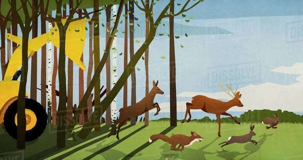 Forest animals running from deforestation bulldozer in woods - Royalty ...