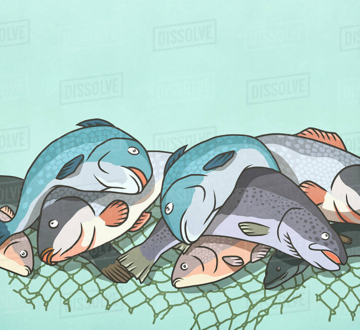 Dead fish caught in netting - Royalty-free Stock Photo | Dissolve