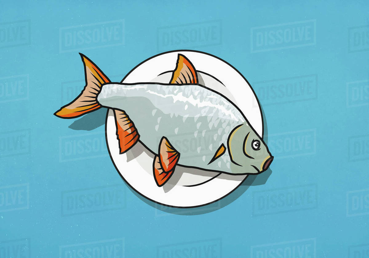 Whole dead fish on dinner plate - Royalty-free Stock Photo | Dissolve