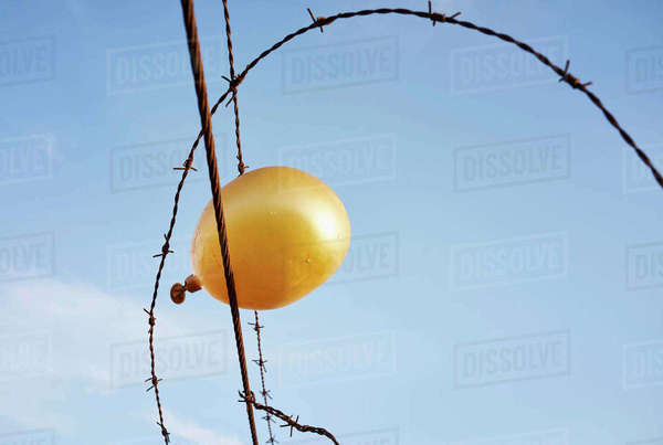Deflating golden balloon caught in barbed wire - Royalty-free Stock ...