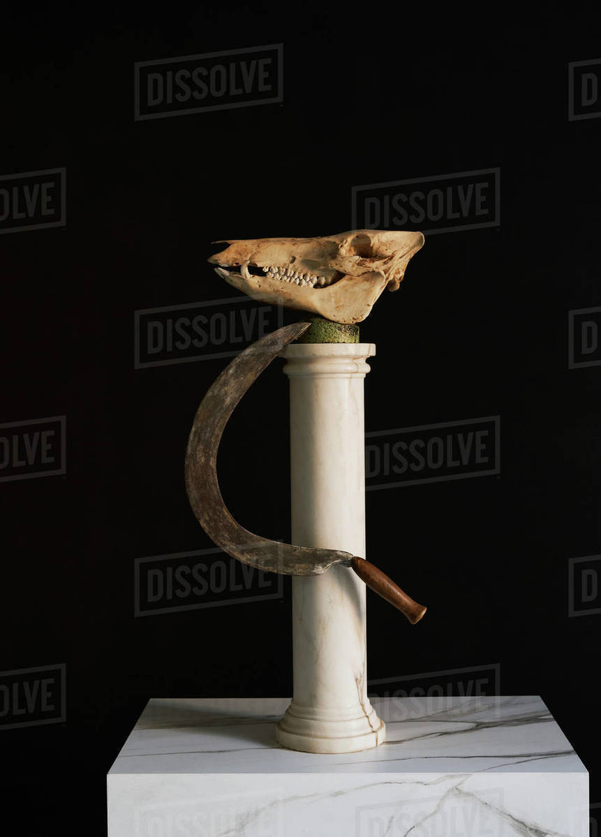 Animal skull and scythe on pedestal - Royalty-free Stock Photo | Dissolve