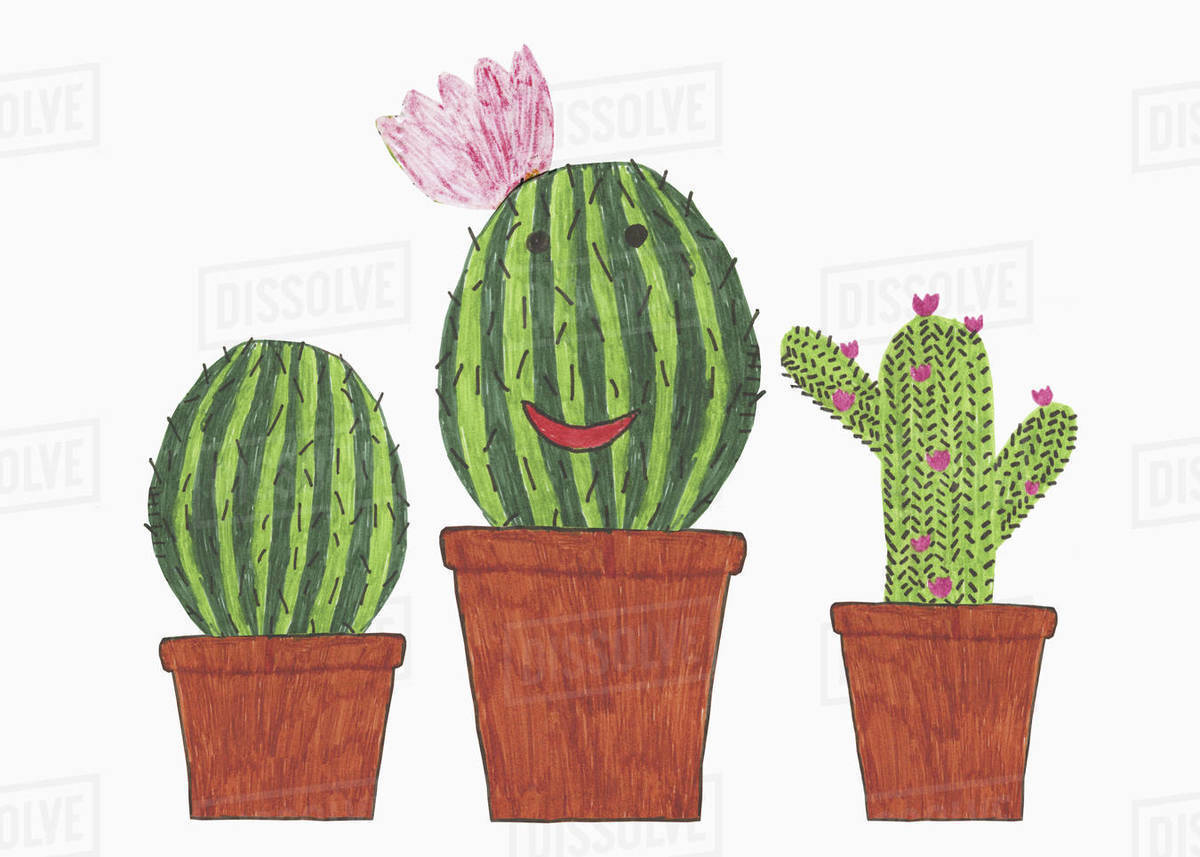 Illustration of anthropomorphic cacti in flowerpot - Royalty-free Stock ...