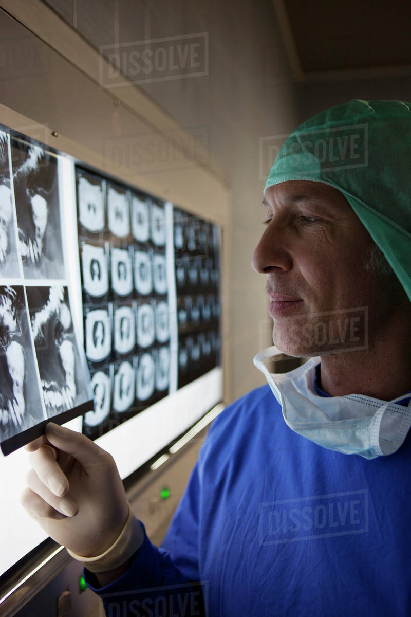 A doctor looking at x-rays on a lightbox - Royalty-free Stock Photo ...